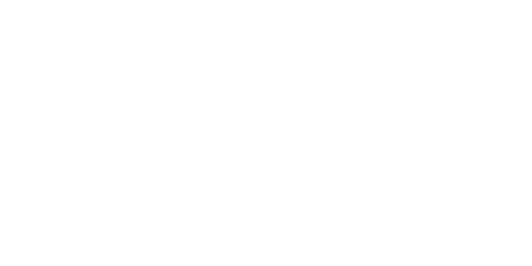 Company - SPP INDIA