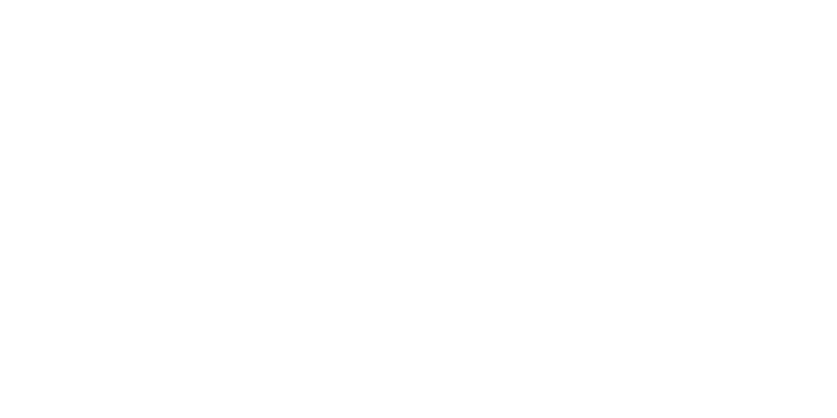 Company - SPP INDIA